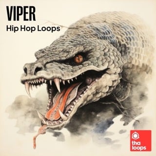 Viper Loops: samples, sound and loops download | MuseHub