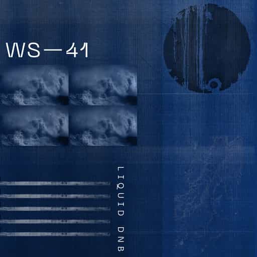 Liquid DnB: samples, sound and loops download | MuseHub