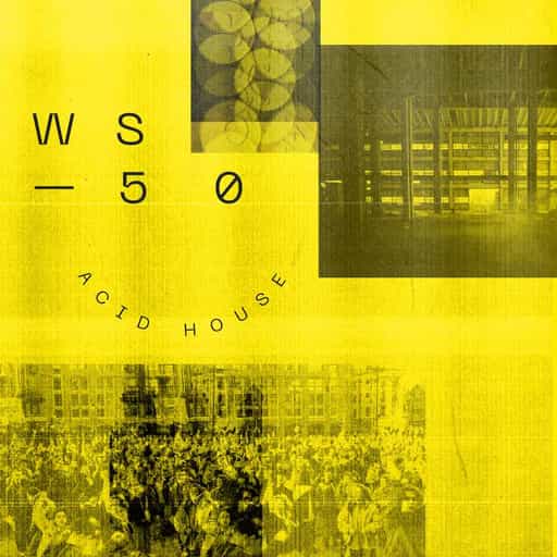 Acid House: samples, sound and loops download | MuseHub