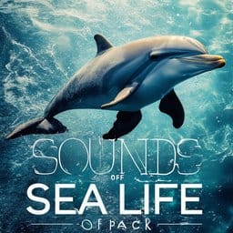 Sounds Of Sea Life: samples, sound and loops download | MuseHub